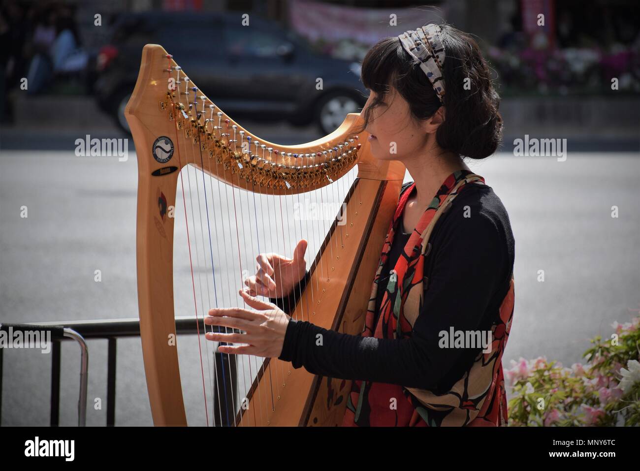 Harpist High Resolution Stock Photography and Images - Alamy