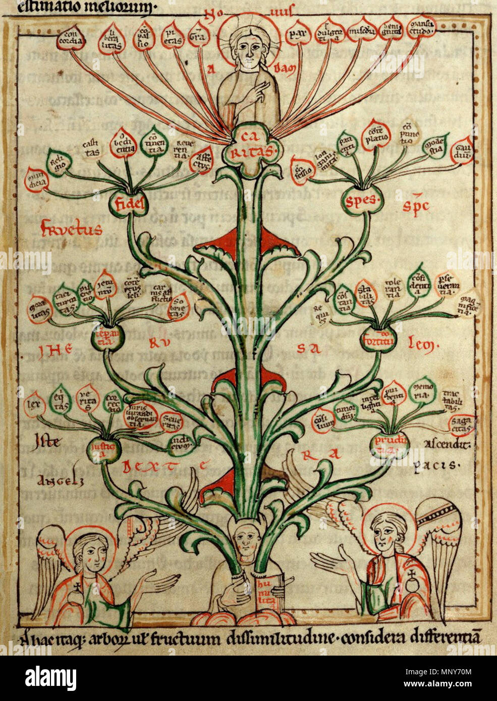 The cardinal virtues manuscript hi-res stock photography and images - Alamy