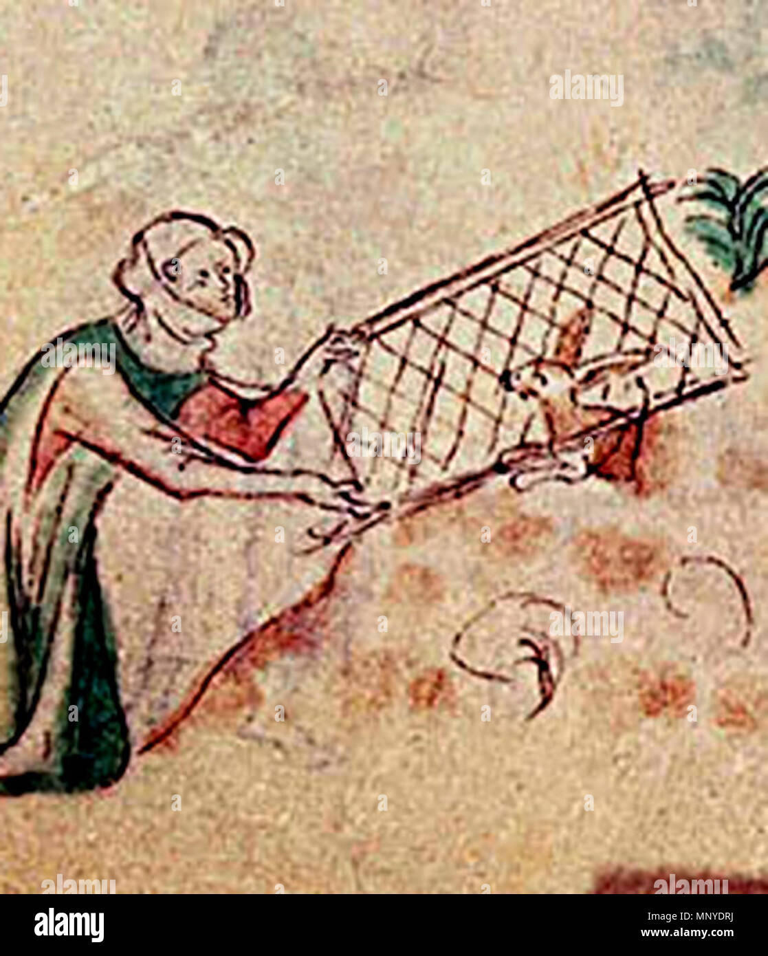 Queen Of Rabbits High Resolution Stock Photography and Images - Alamy