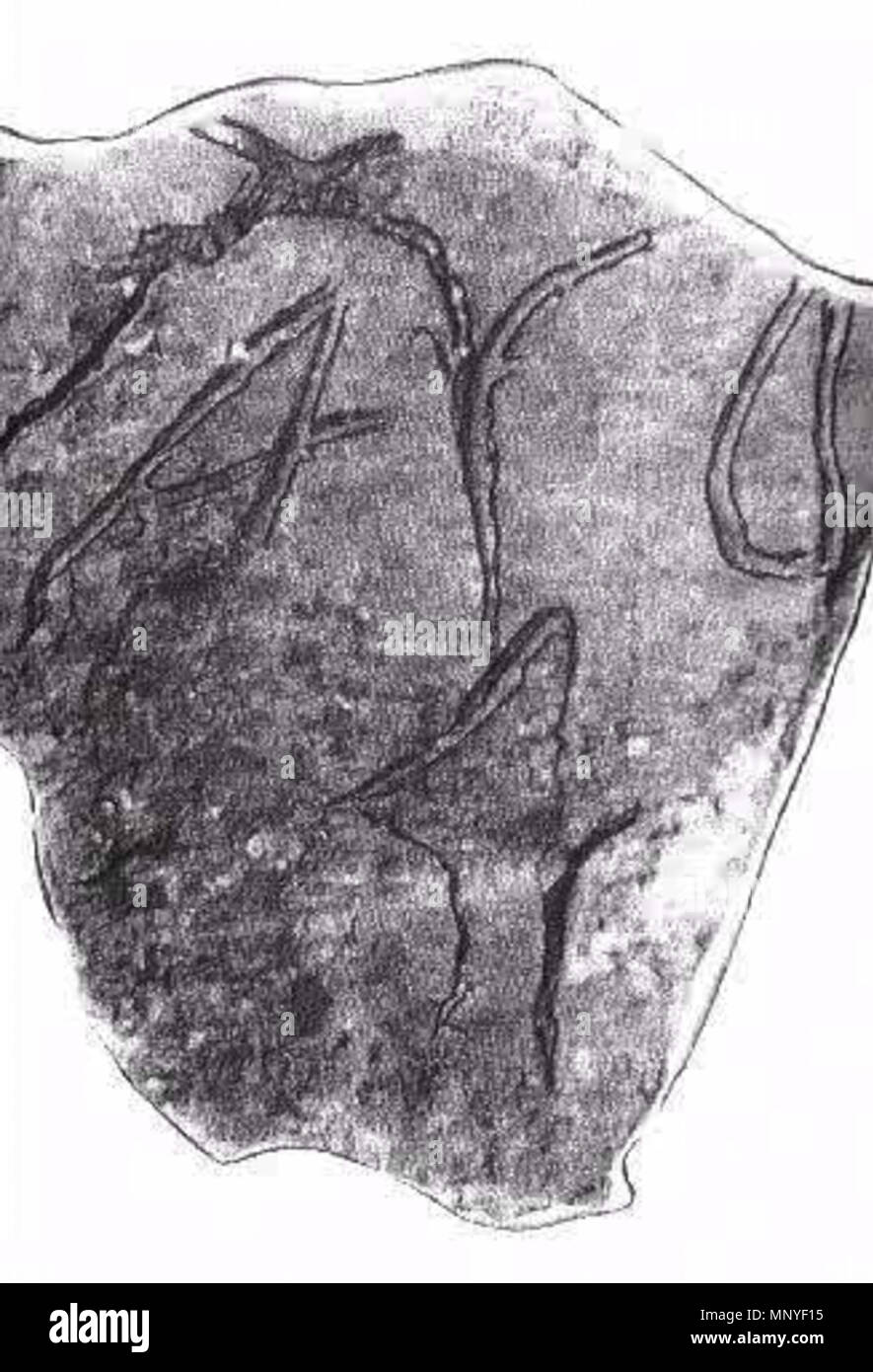 . English: Youra Potsherd (6000 B.C. - 5500 B.C.) with carvings claimed ...