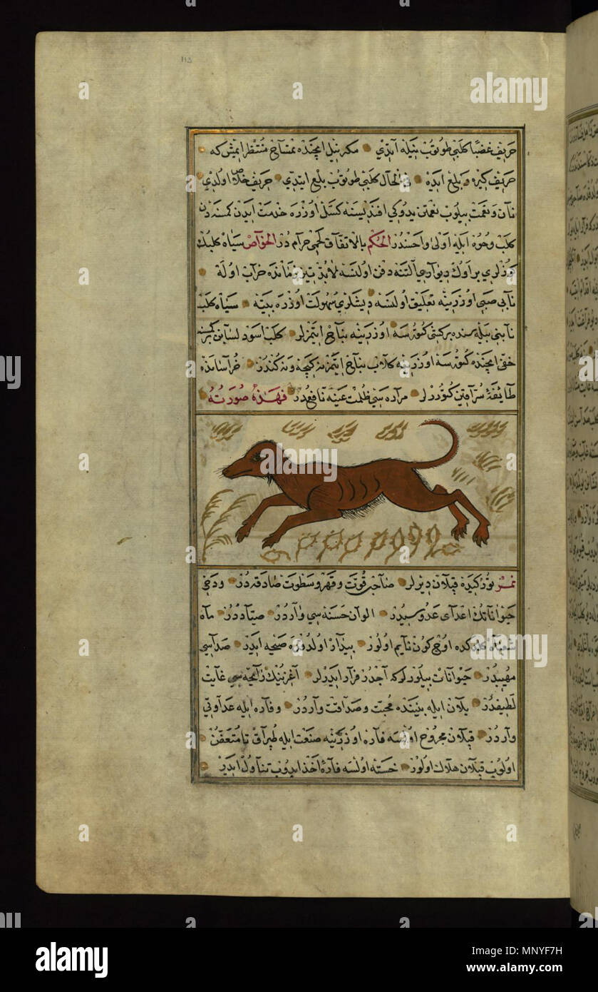 Qazwini hi-res stock photography and images - Alamy