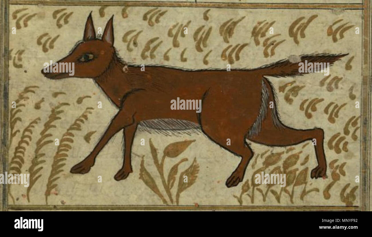 A Wolf . English: This folio from Walters manuscript W.659 depicts a ...