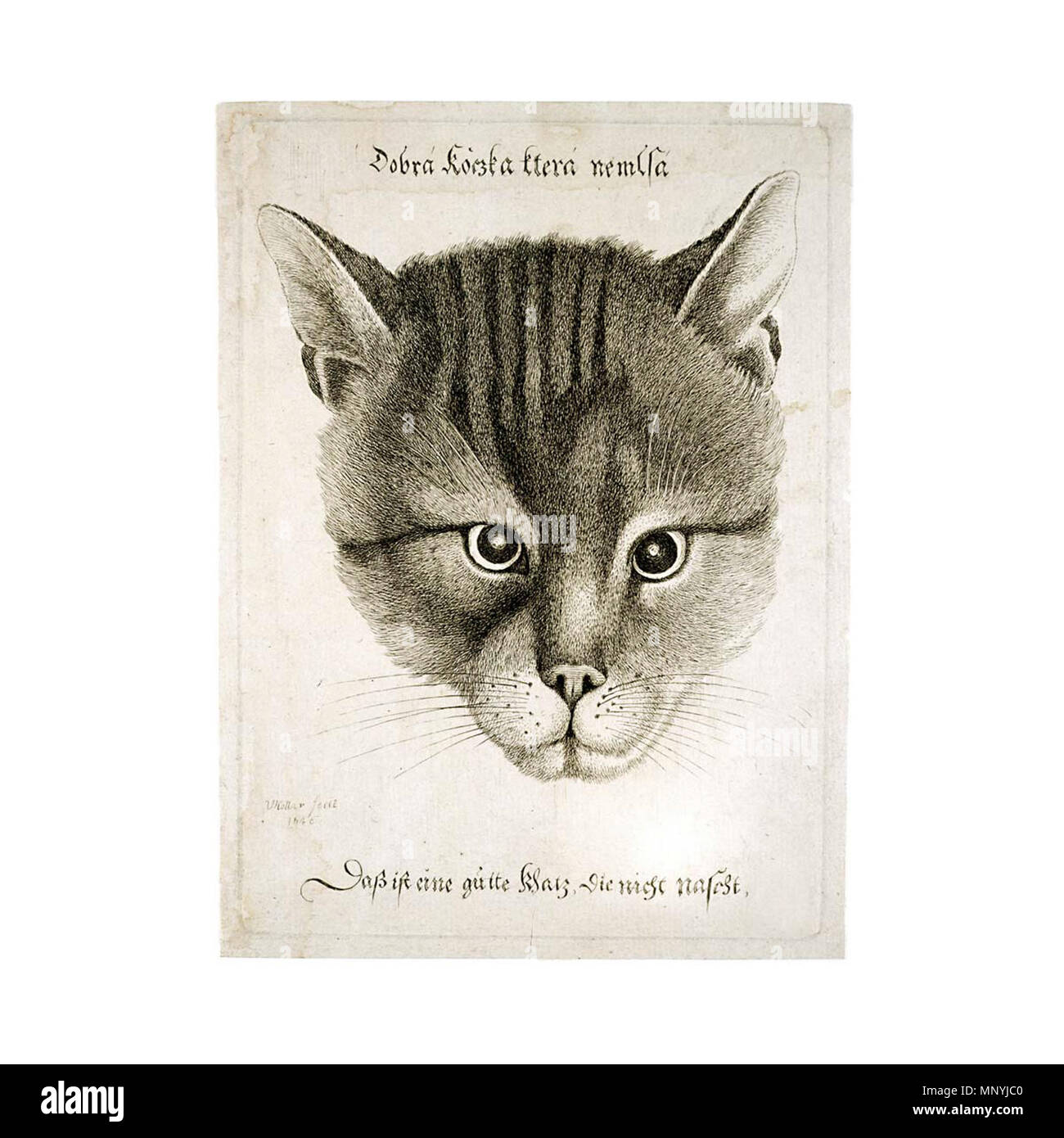 Kocka hi-res stock photography and images - Alamy