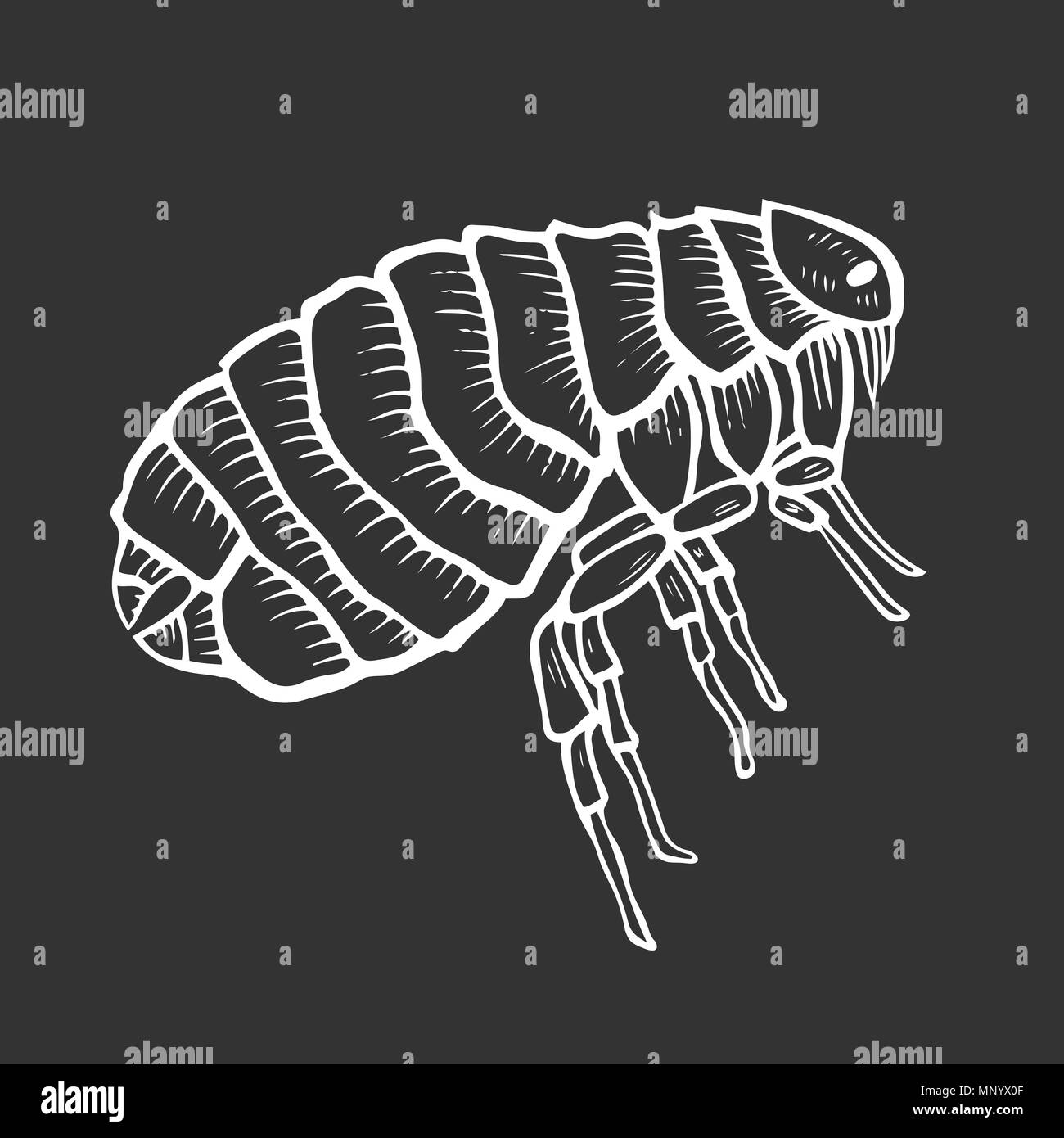 Small blackboard vector vectors Black and White Stock Photos & Images ...