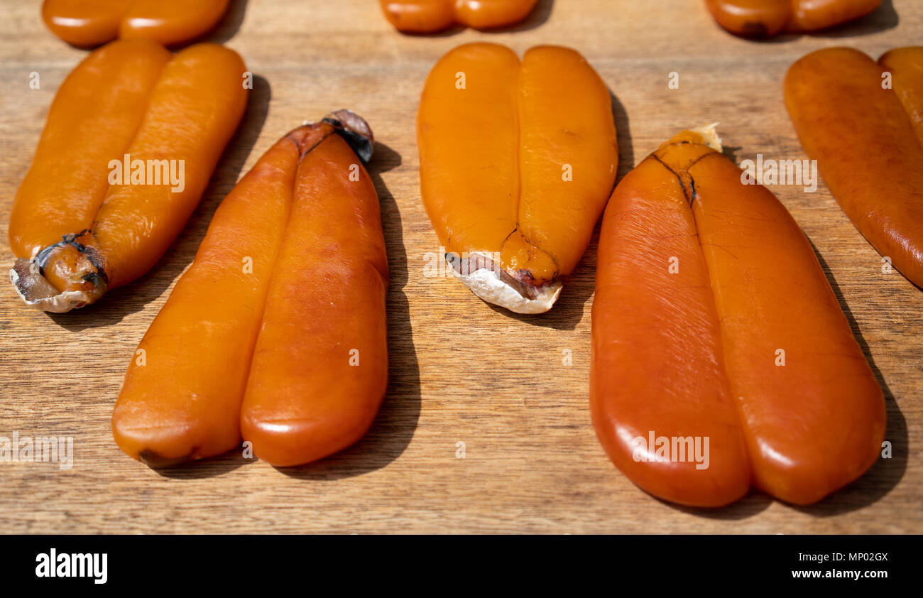 Karasumi mullet hi-res stock photography and images - Alamy