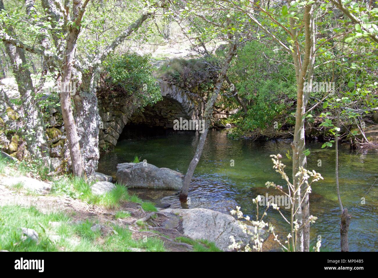 High vegetation hi-res stock photography and images - Alamy