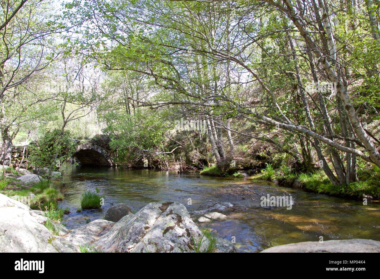 Small waterfalls of a river with high vegetation Stock Photo - Alamy