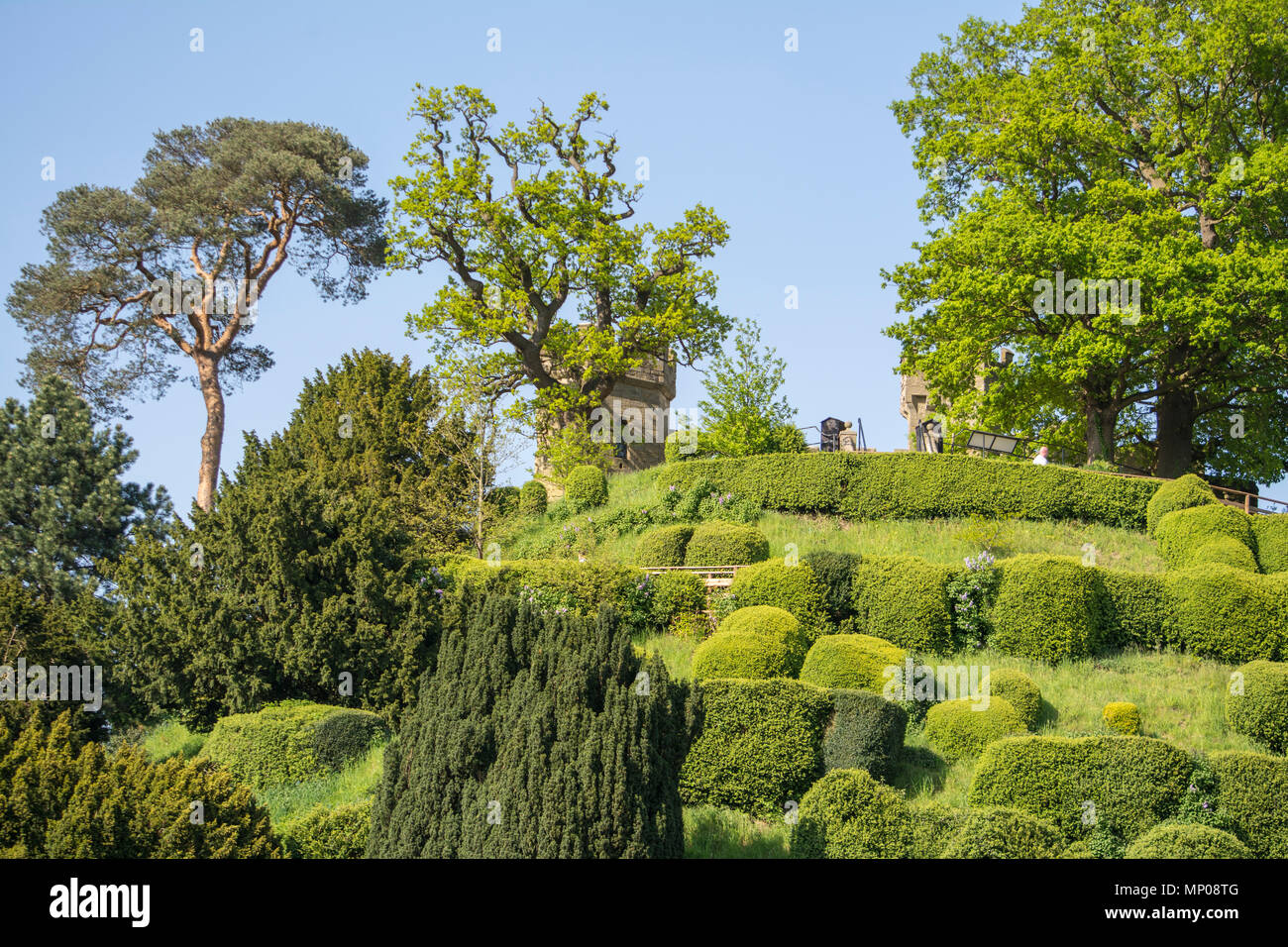Topiary trees hi-res stock photography and images - Alamy