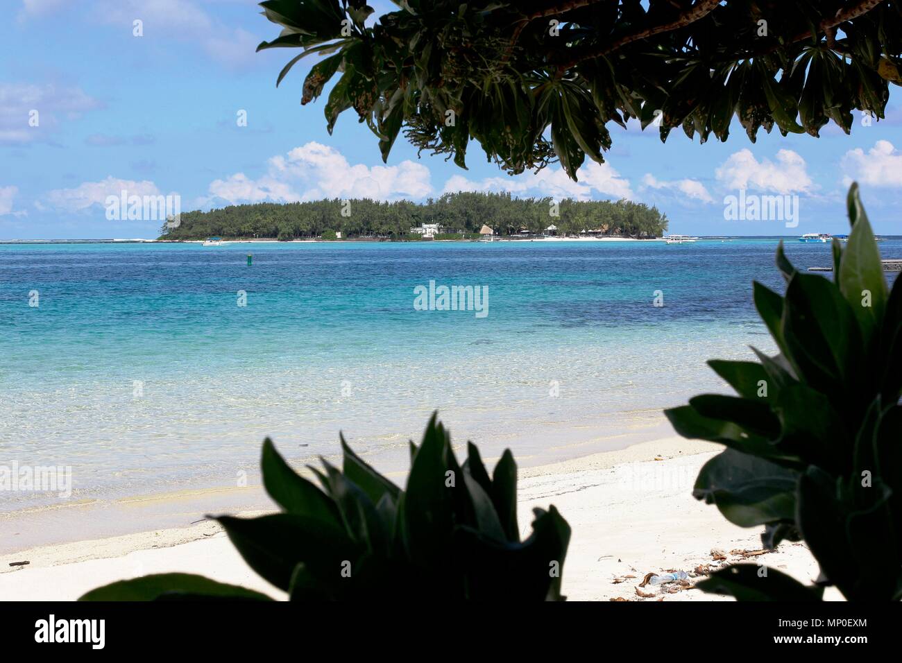 ile maurice. Pointe d’Esny Stock Photo - Alamy