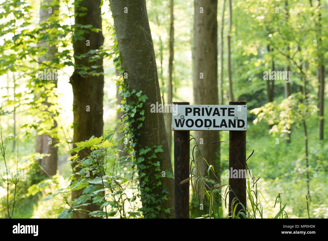 Private Woodland Sign Stock Photo - Alamy