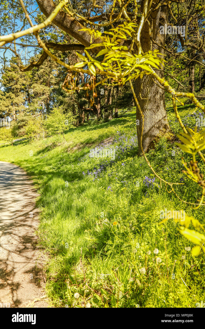 Elgar trail hi-res stock photography and images - Alamy