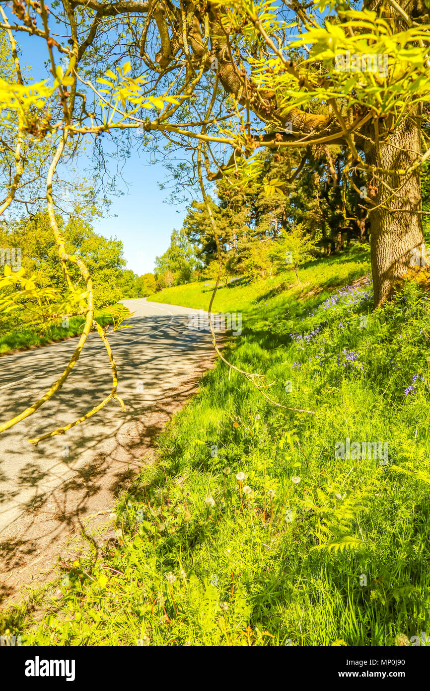 Elgar trail hi-res stock photography and images - Alamy
