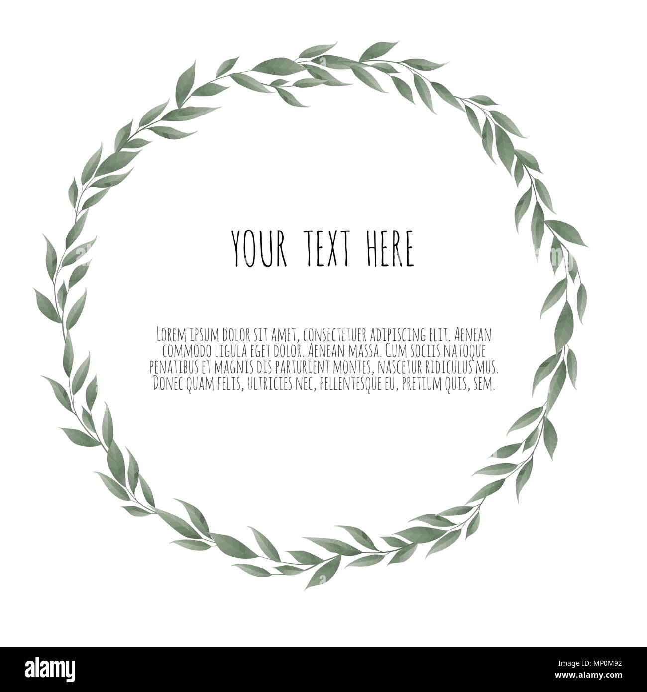 Watercolor bay leaf Stock Vector Images - Alamy