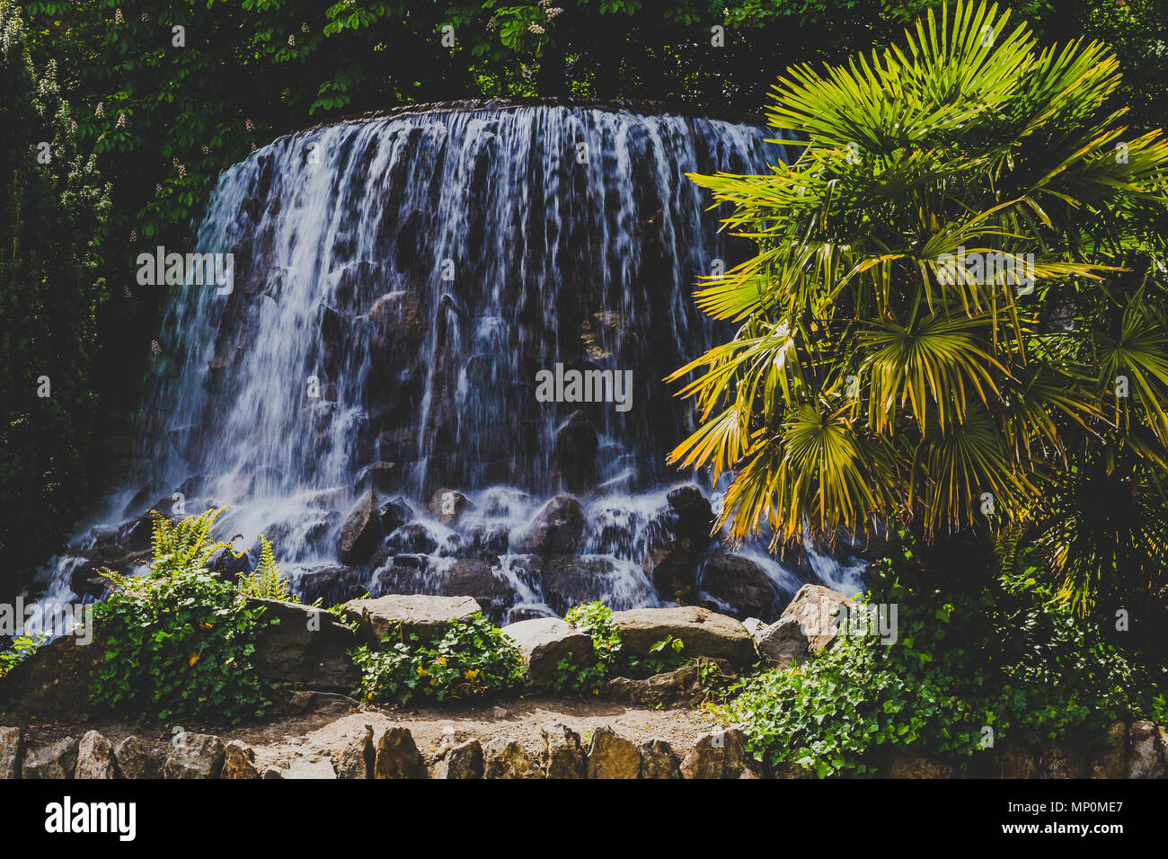 small waterfall with palm tree in public garden surrounded by greenery ...