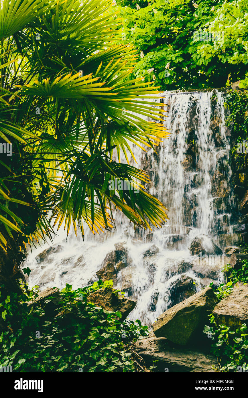 small waterfall with palm tree in public garden surrounded by greenery ...