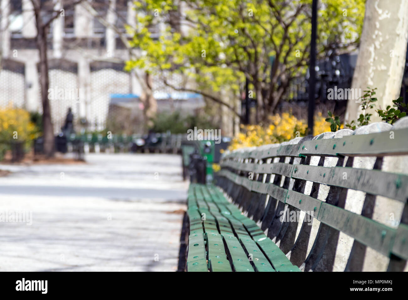 Sunlight shines on empty park bench in Manhattan, New York City NYC ...