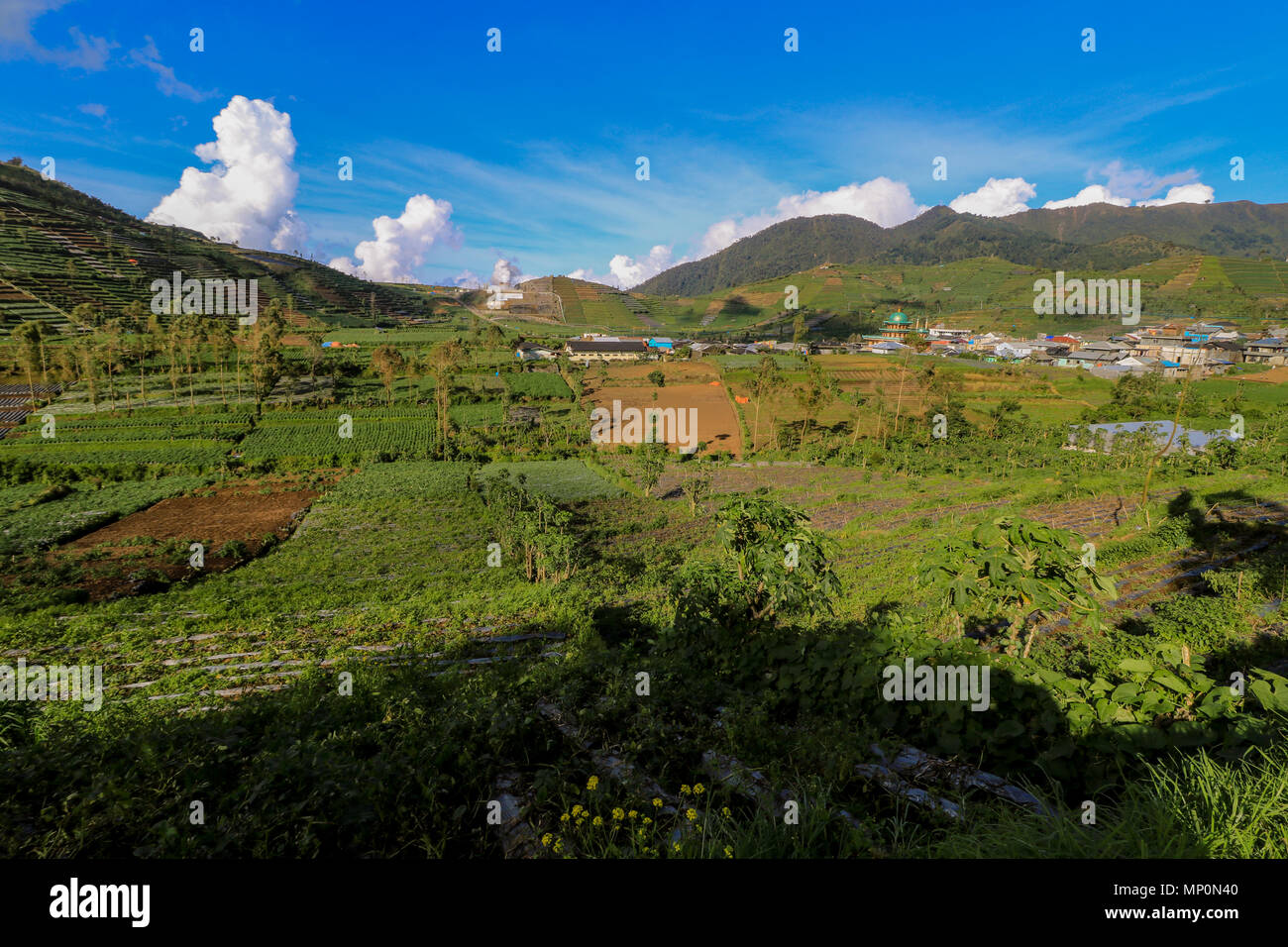 the dieng plateau and arjuna temple is one of the most beautiful ...