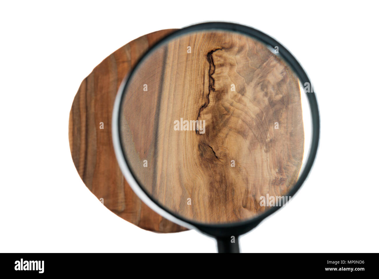 Study of a wooden texture through a magnifying glass. Isolated on white ...
