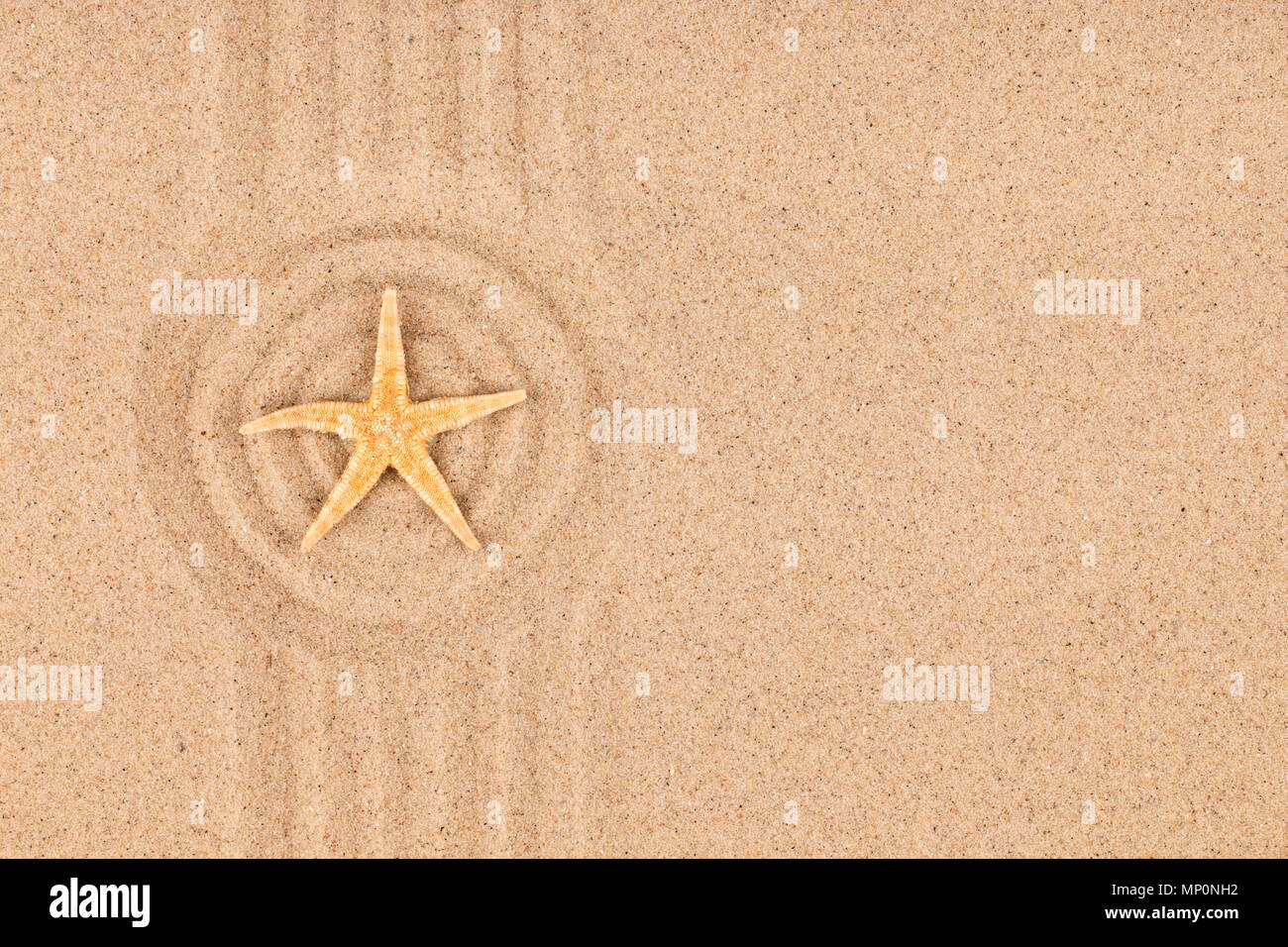 Starfish lying in the center of a circle made of sand. With a place for ...