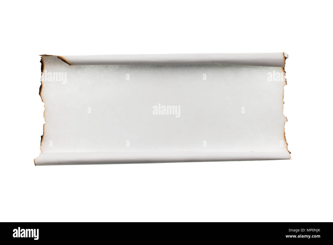 Rolled up piece of paper hi-res stock photography and images - Alamy