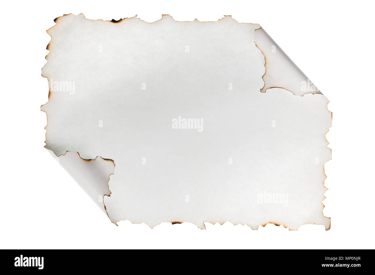 Rolled-up piece of paper with the scorched edges. Isolated on white ...