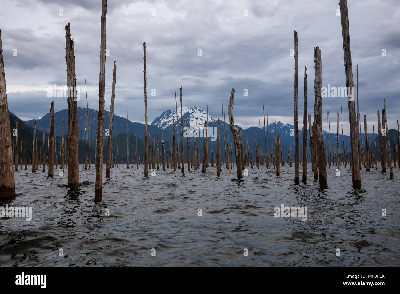 Stave lake hi-res stock photography and images - Alamy