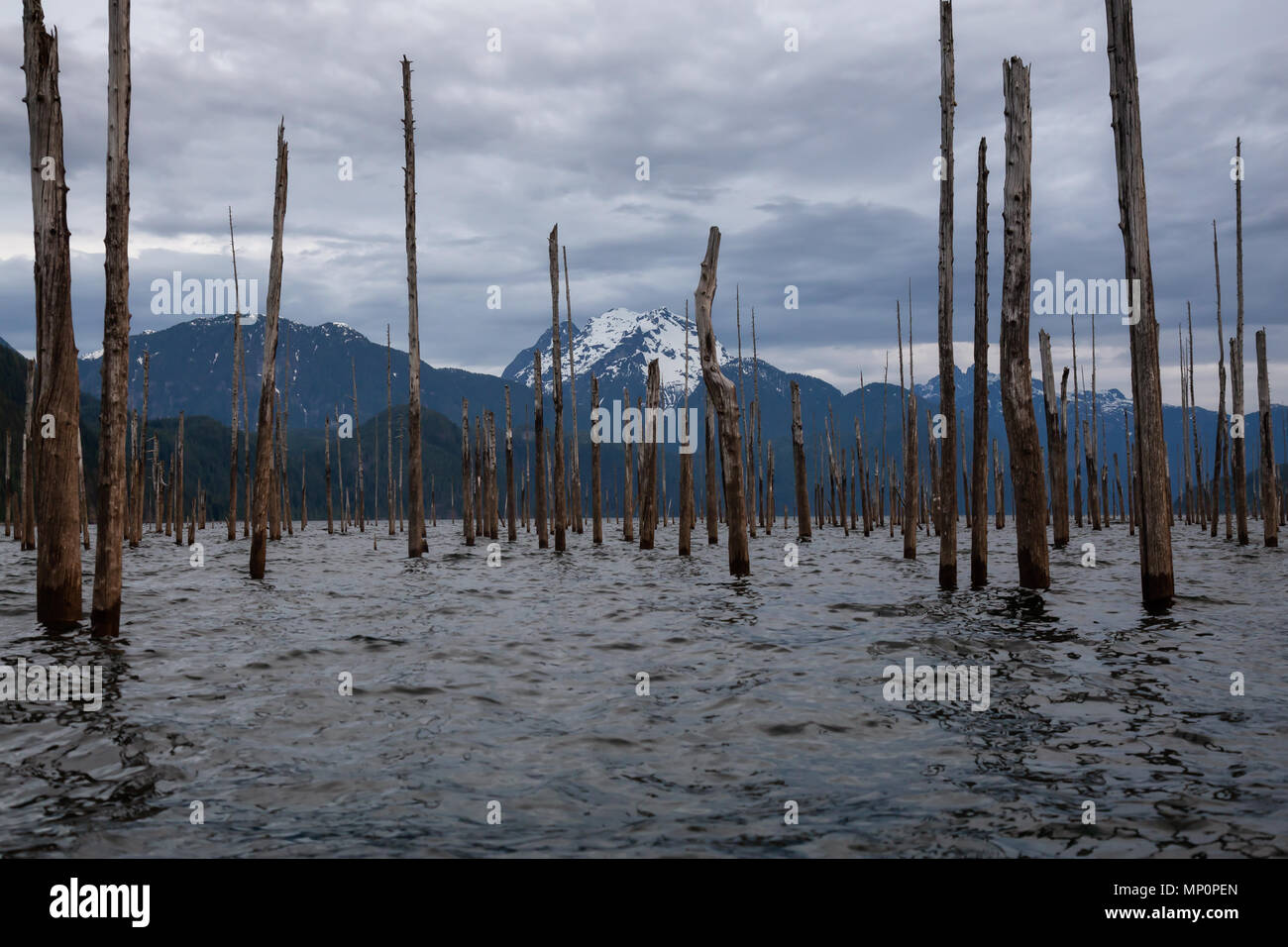 Stave lake british columbia canada hi-res stock photography and images ...