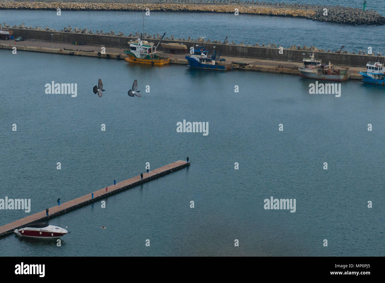 Birds flying over a quay Stock Photo - Alamy
