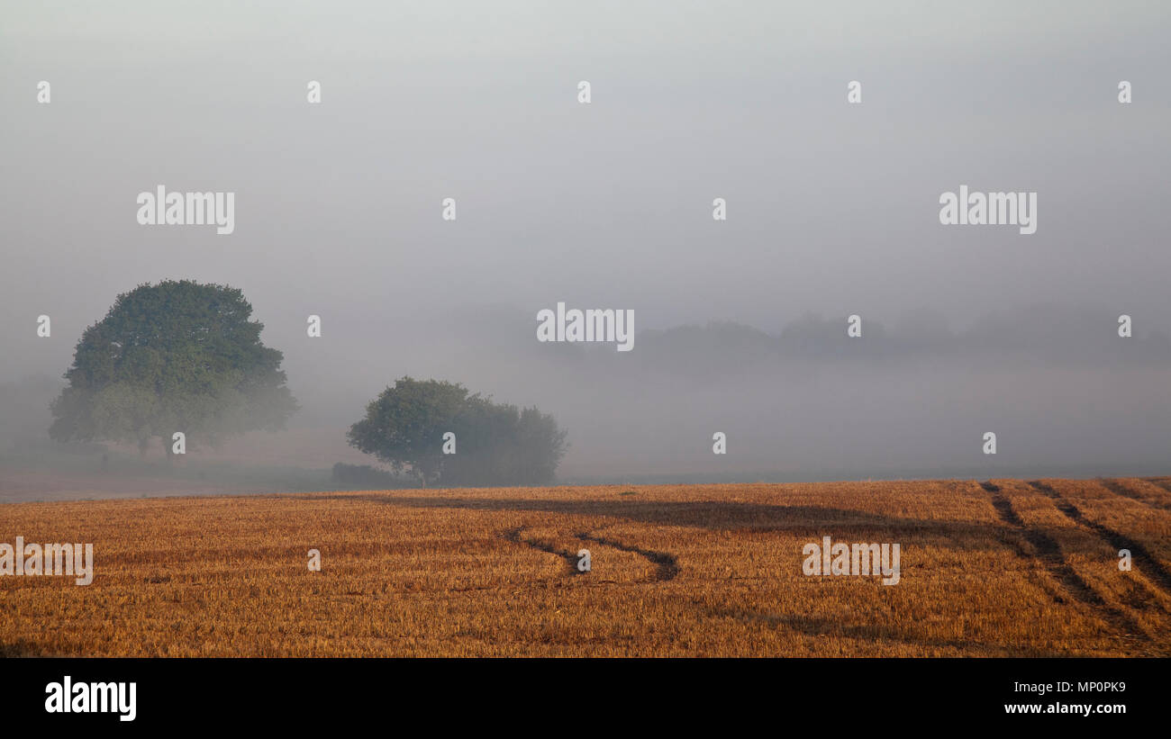 Cycling and walking trails hi-res stock photography and images - Alamy