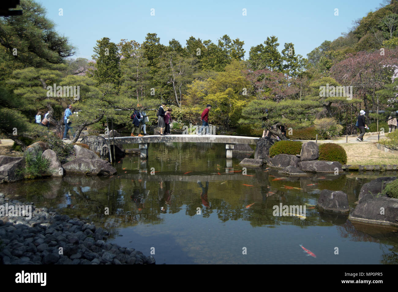 Japan during cherry blossom hi-res stock photography and images - Alamy