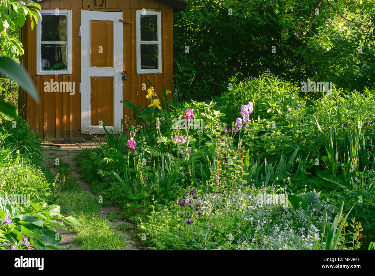 spring flowers in cottage garden Stock Photo - Alamy