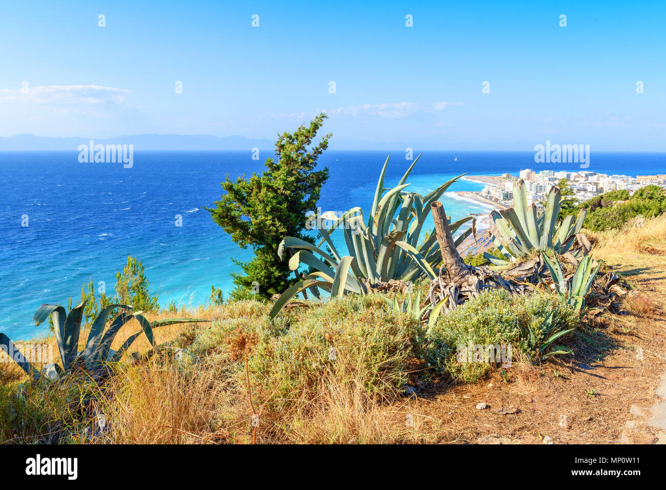 Tropical agave plants growing on rocks in beautiful bay of Rhodes ...