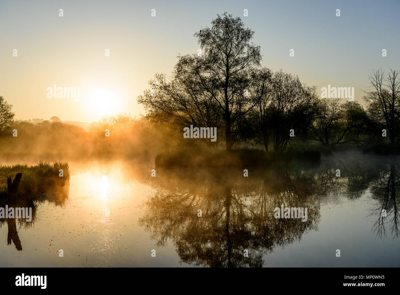 Summer sunrise at the lake. Nature reserve near Lockerbie. Scotland ...