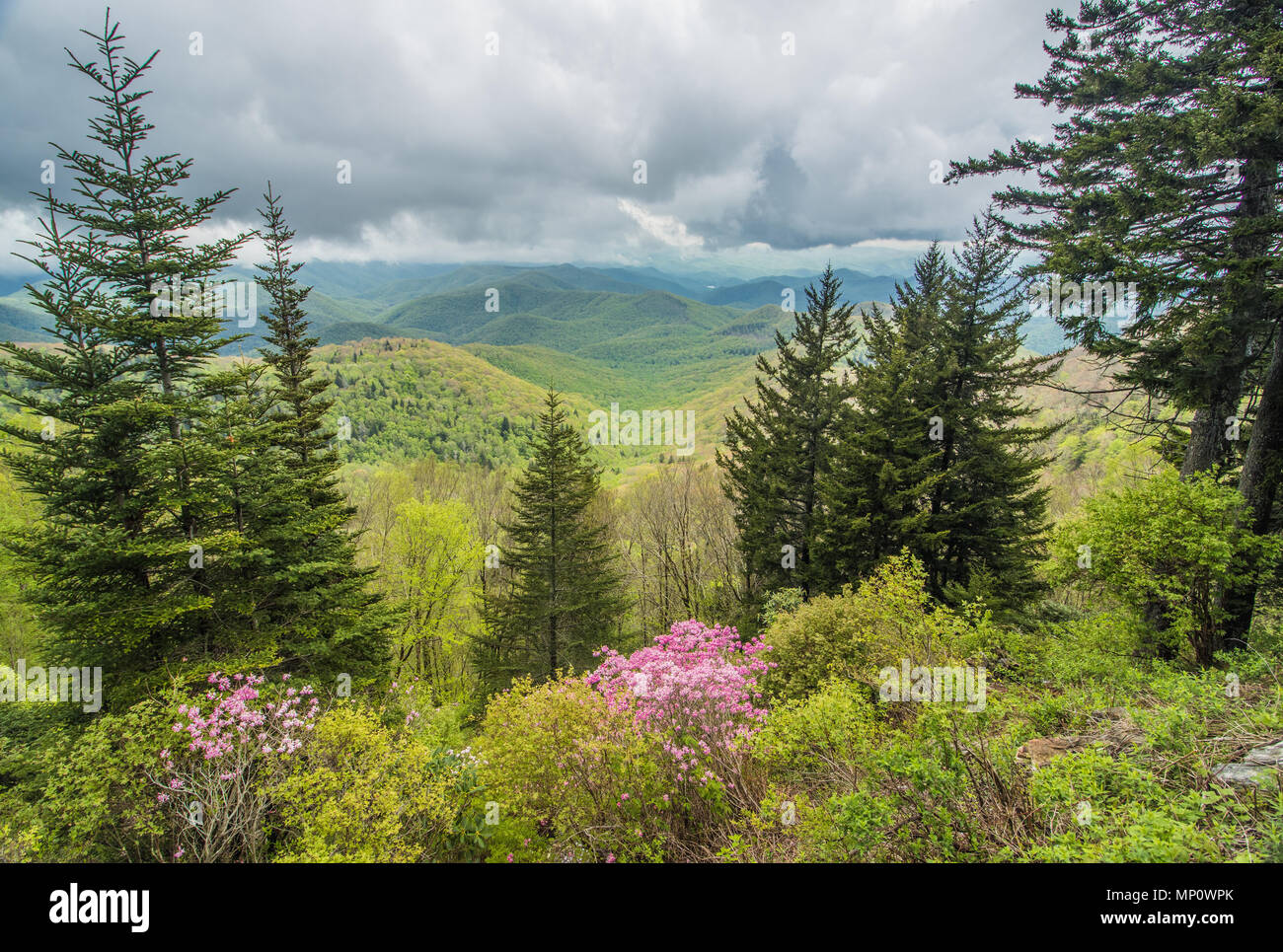 Spring on the Blue Ridge Parkway in North Carolina Stock Photo - Alamy