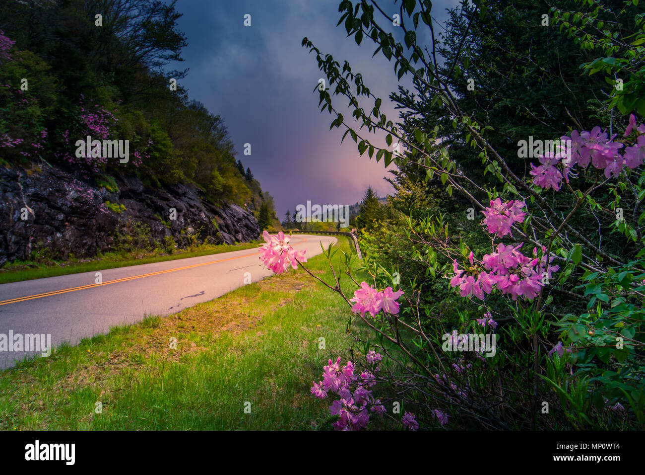 Spring on the Blue Ridge Parkway in North Carolina Stock Photo - Alamy