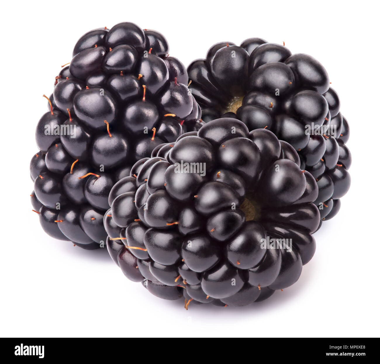 Raw blackberries hi-res stock photography and images - Alamy