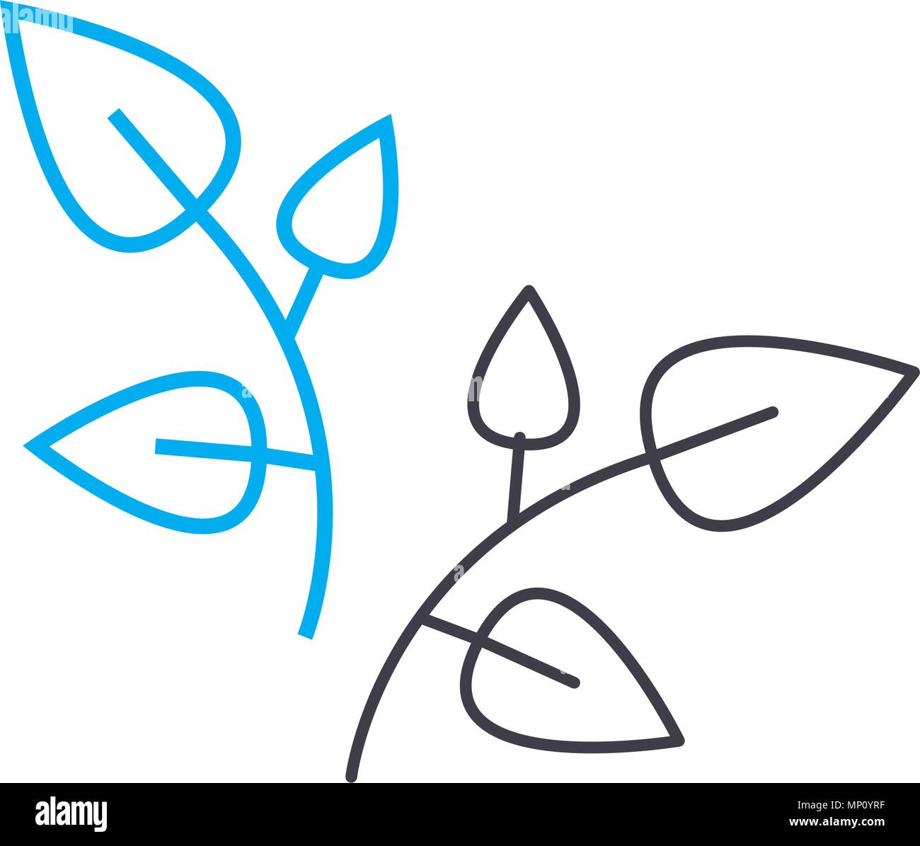 Foliage appearance linear icon concept. Foliage appearance line vector ...