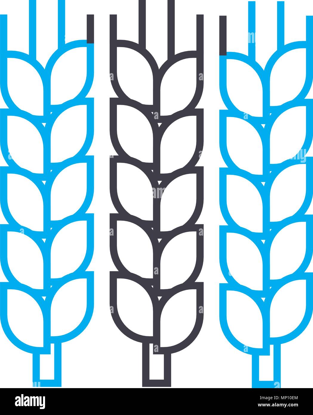 Rye green closeup ear Stock Vector Images - Alamy