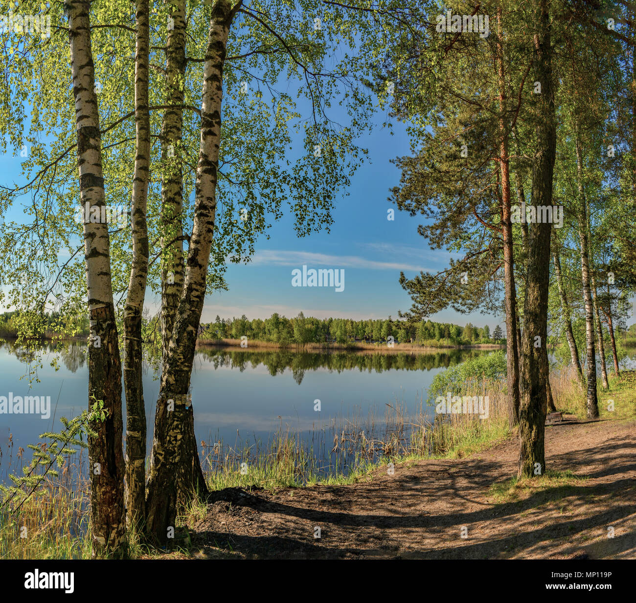 Spring morning on the lake. Russia. Leningrad region Stock Photo - Alamy