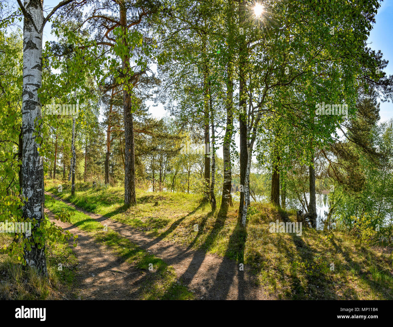 Spring morning on the lake. Russia. Leningrad region Stock Photo - Alamy