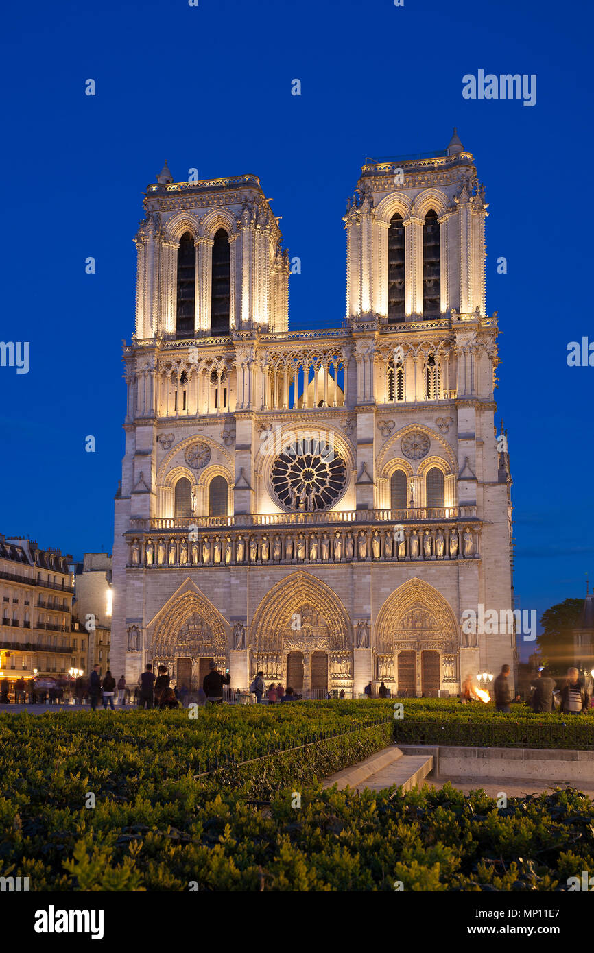Nightfall in Notre Dame, Paris, Ile-de-france, France Stock Photo - Alamy