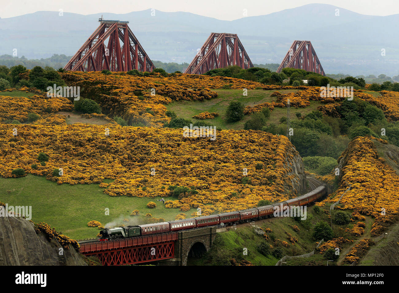 The Flying Scotsman steam train makes its way through the Fife ...