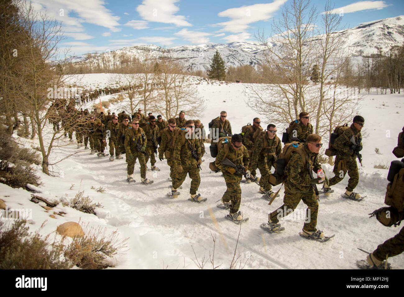 1st med bn hi-res stock photography and images - Alamy