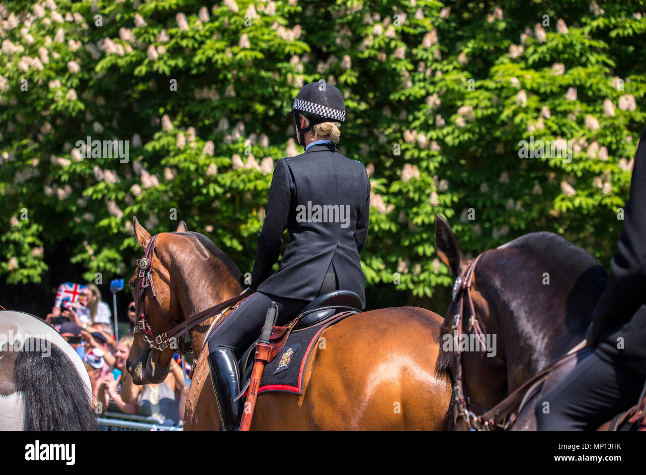 19 May 2018 - A mounted police officer follows the procession of Prince ...