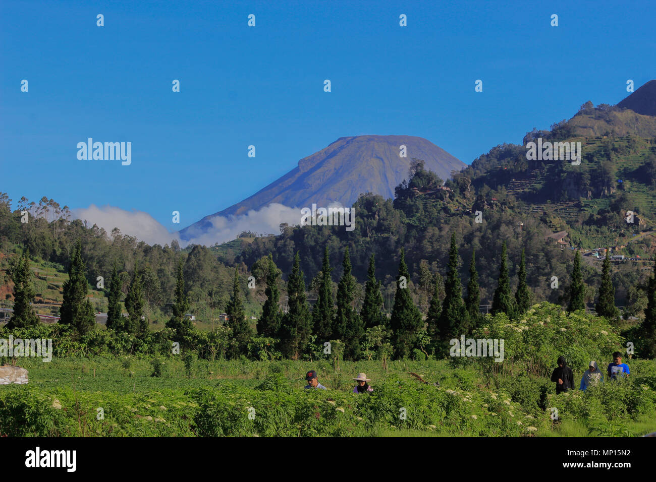 the dieng plateau and mount prau is one of the most beautiful ...