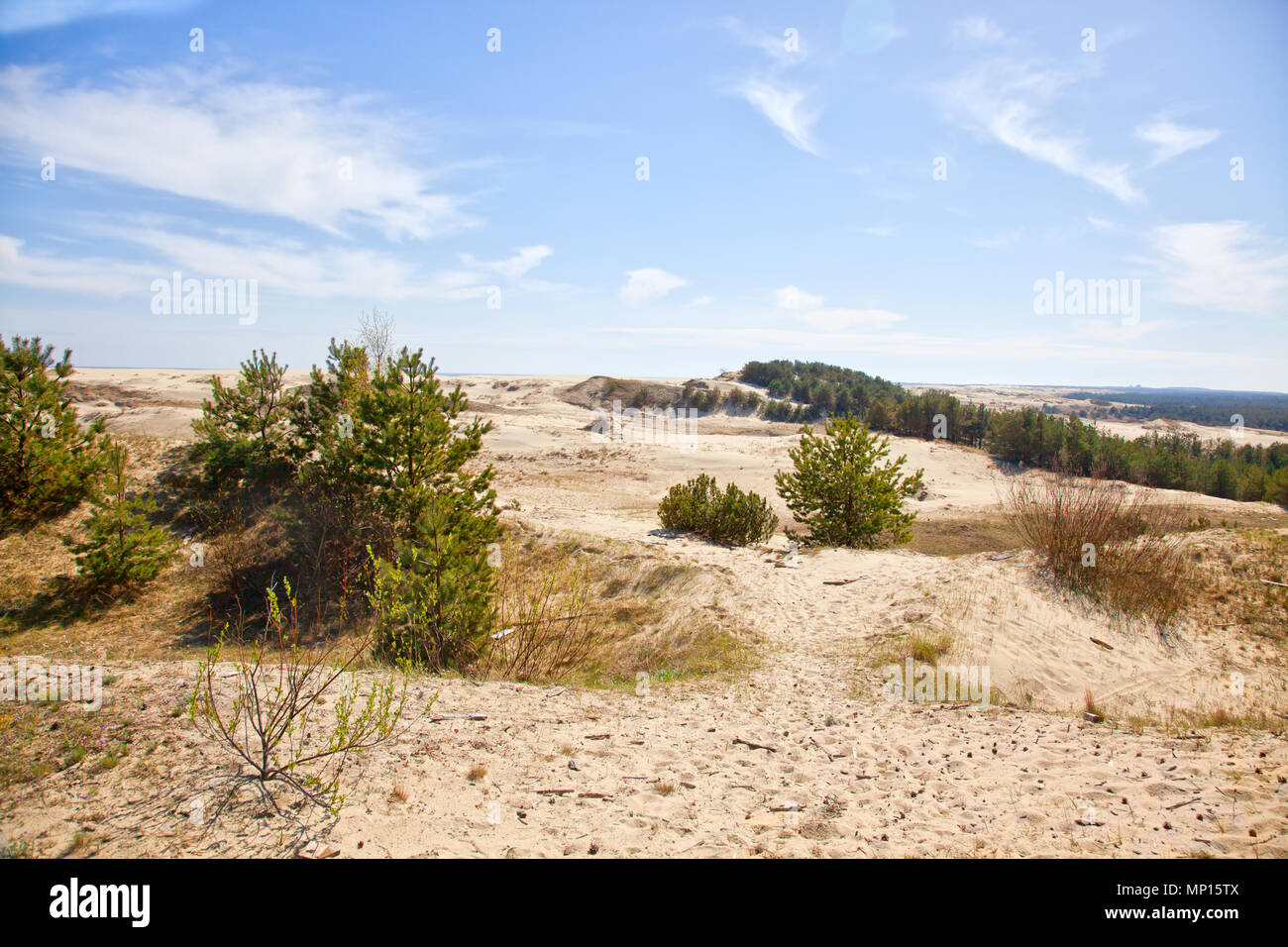 Kaliningrad region. View of the Curonian Spit, from the height of the ...