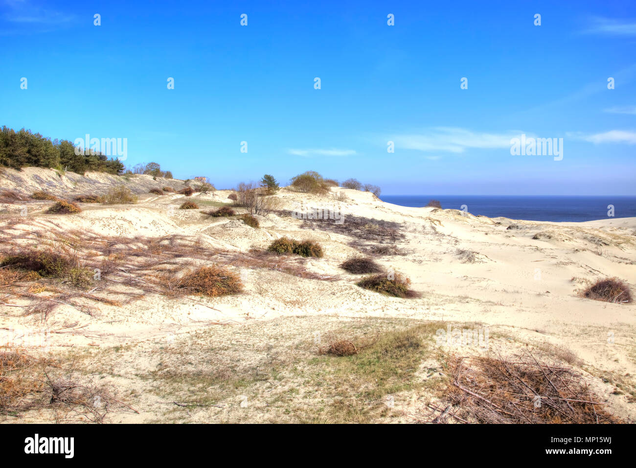 Kaliningrad region. View of the Curonian Spit, from the height of the ...