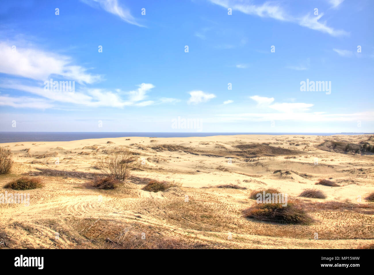 Kaliningrad region. View of the Curonian Spit, from the height of the ...