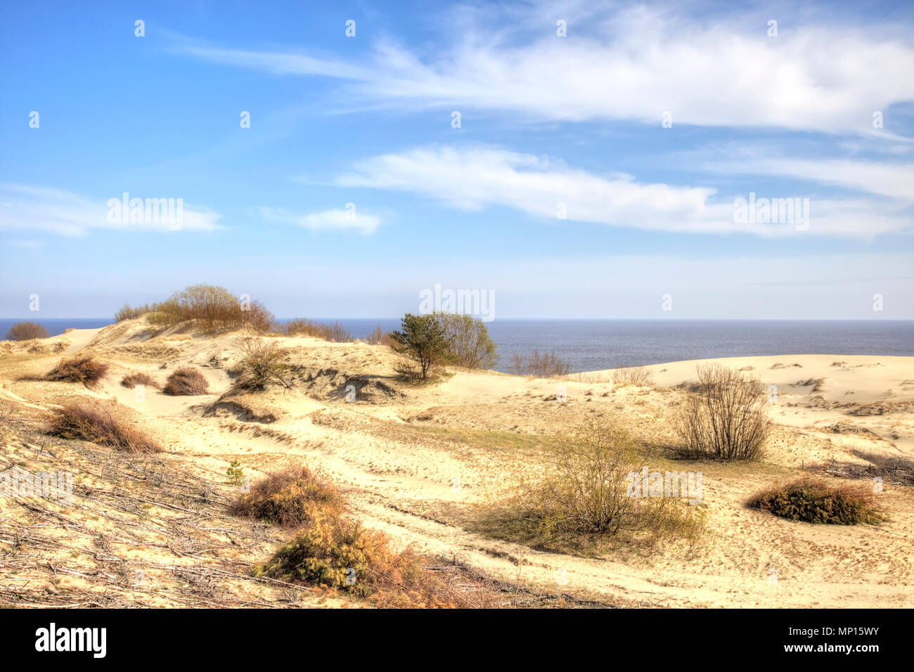 Kaliningrad region. View of the Curonian Spit, from the height of the ...