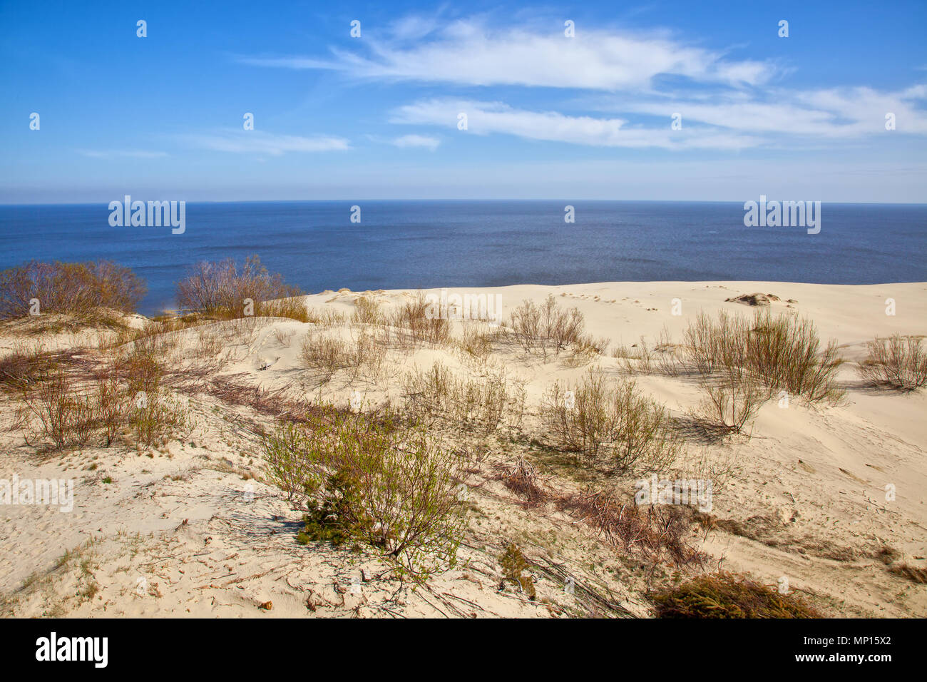 Kaliningrad region. View of the Curonian Spit, from the height of the ...